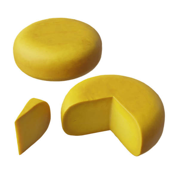 Cheese Food Models - Poliigon
