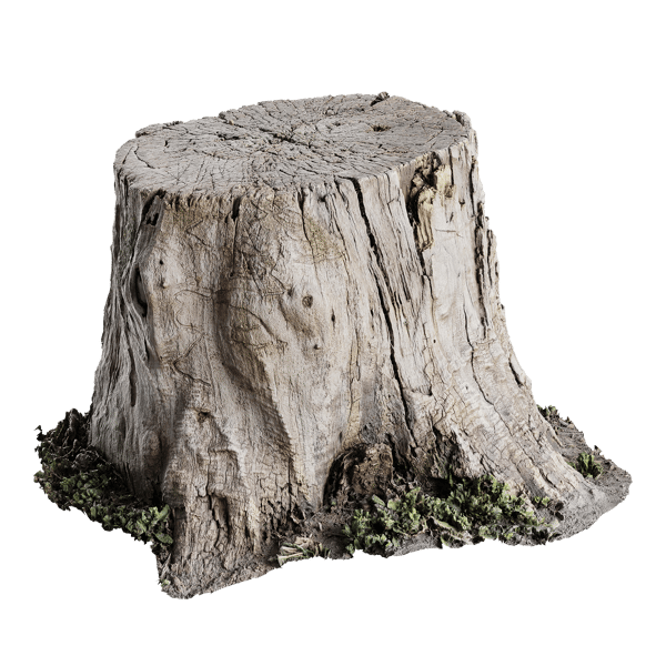 Tree Stump Models - Poliigon