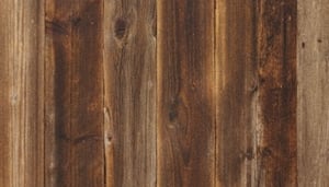 Seamless PBR Wood Textures for 3D - Poliigon