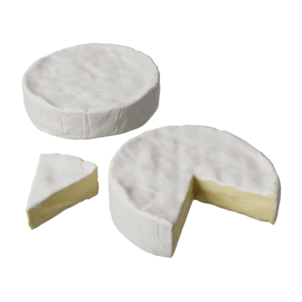 Cheese Food Models - Poliigon