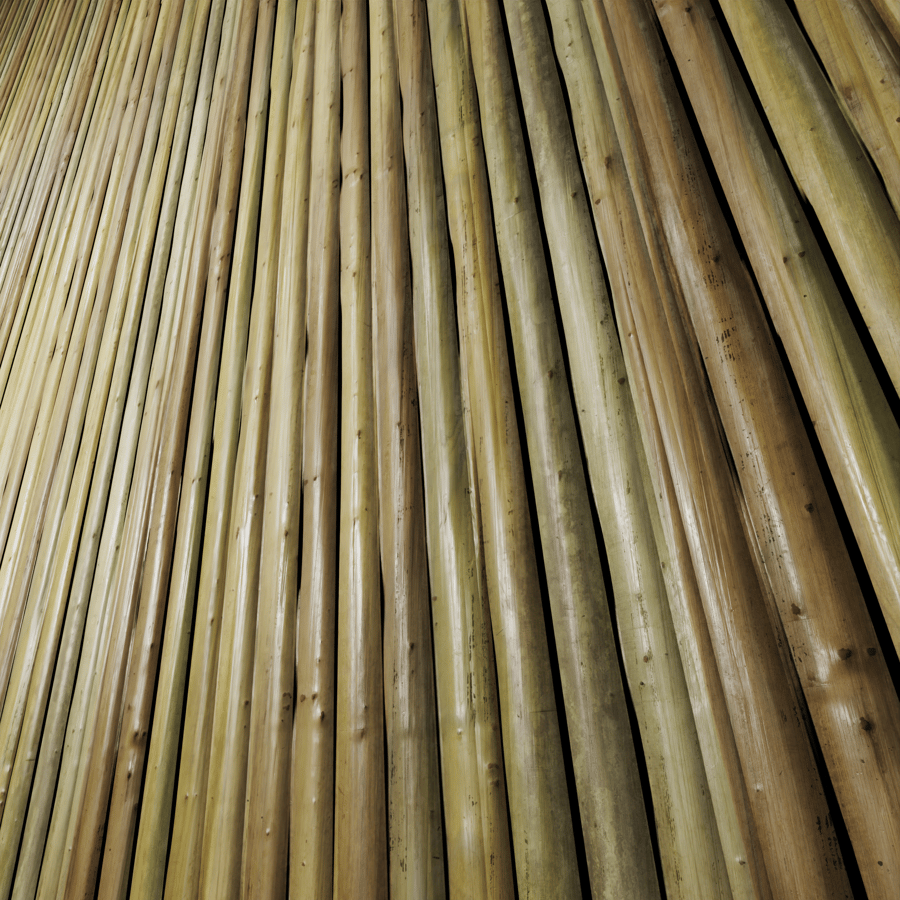 Bamboo Unwrapped Wicker Texture, Green - Poliigon Bamboo Unwrapped Wicker Texture, Green - Poliigon