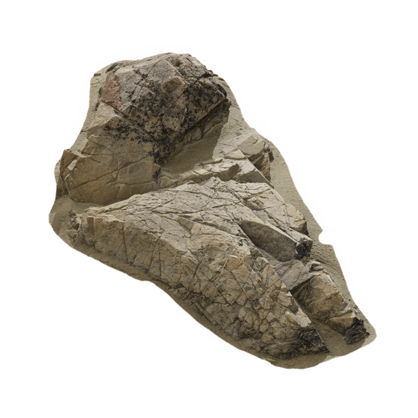 Rock Models - Poliigon