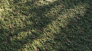 Seamless Earth Textures for 3D - Poliigon
