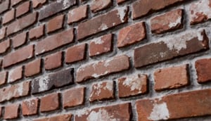 Premium PBR Textures for photorealistic 3D - Poliigon