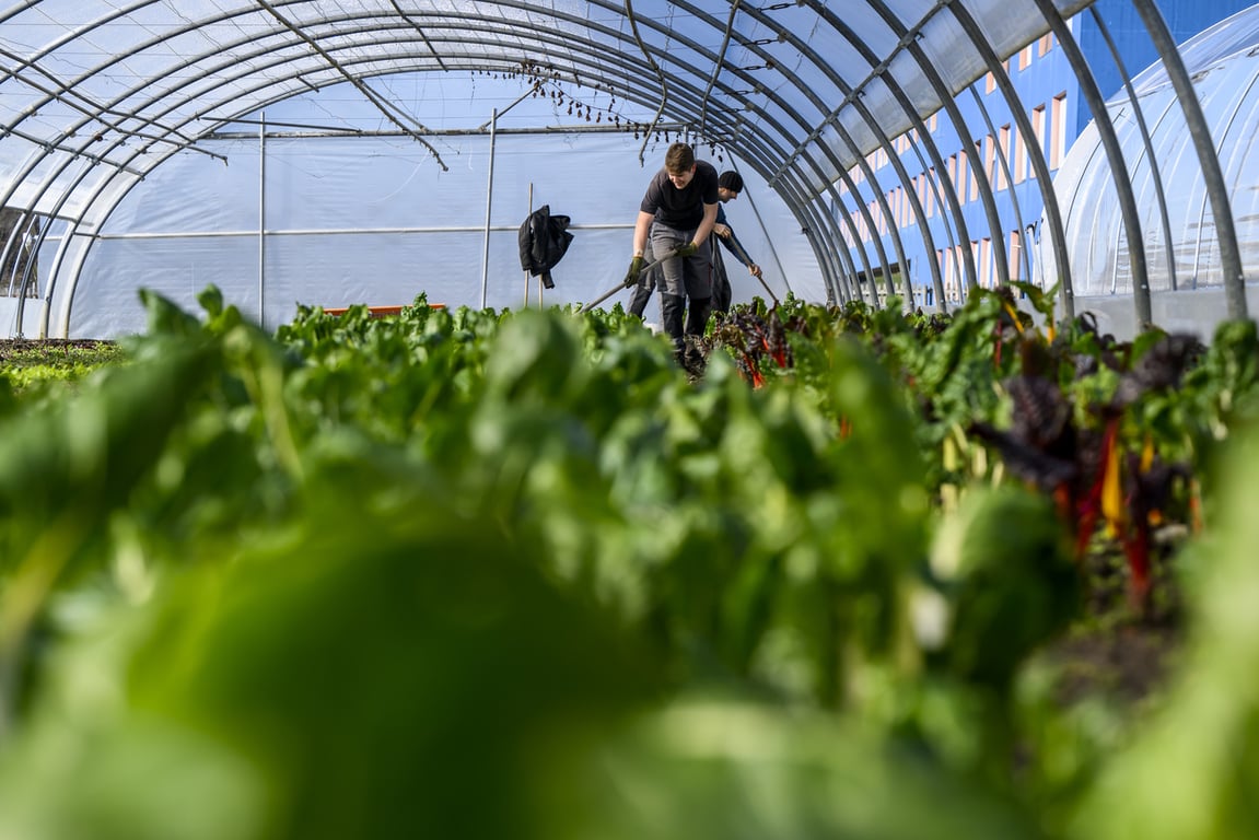 Les exploitations agricoles toujours plus nombreuses à pratiquer la ...