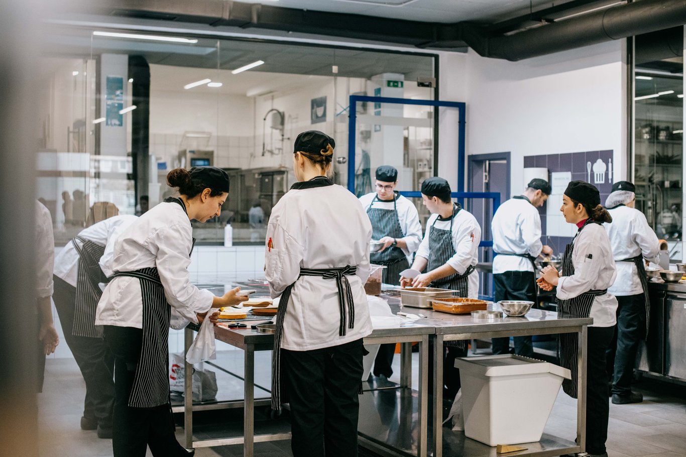 What Does Culinary School Teach You: Necessity of Culinary Degree