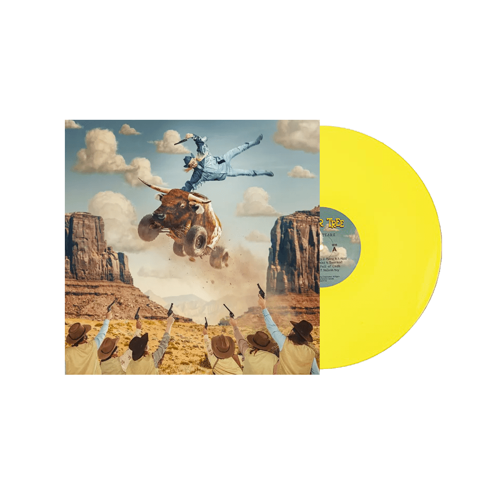 Townsend Music Online Record Store - Vinyl, CDs, Cassettes and Merch ...