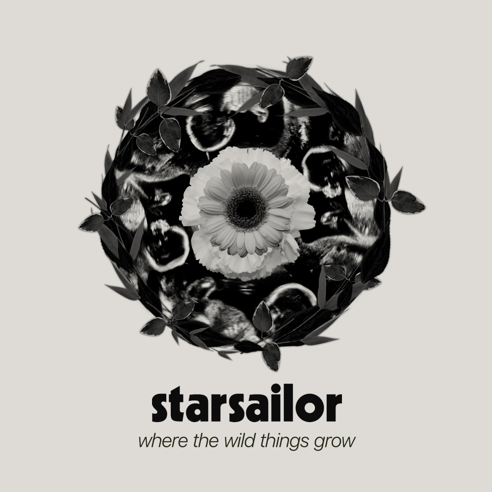 Starsailor Official Store - Starsailor - Where The Wild Things Grow Deluxe Digital