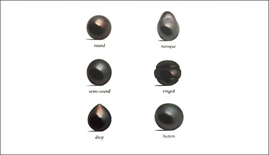 Pearl Evaluation Guide | Robert Wan - test