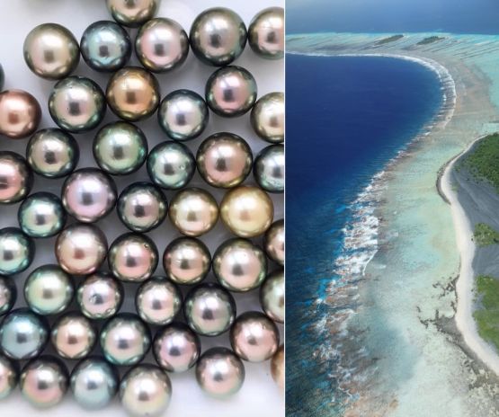 The Islands of Robert Wan | Robert Wan