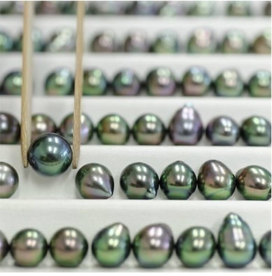 Robert WAN: Premier Tahitian Pearl Specialist | Exquisite Cultured Pearls