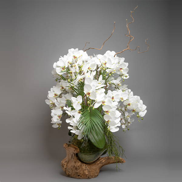 Artificial Orchids At Demmerys View Full Range