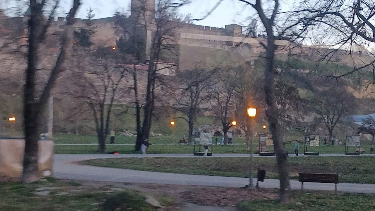 Koncert Billy Idol 9 jul 2025, u parku Kalemegdan, Donji grad Beograd ...