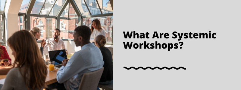 What Is Workshop Systemic Design and Conception? | IIENSTITU