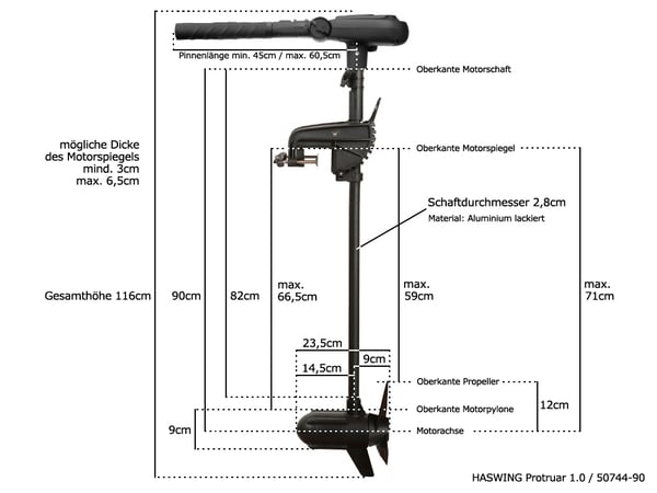 Haswing Protruar 1.0 rear engine