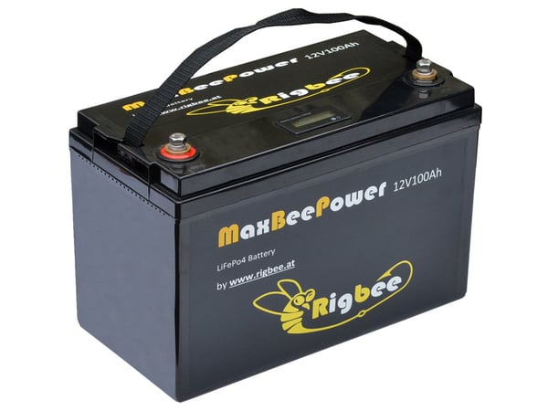 Rigbee battery 12 V 100 Ah