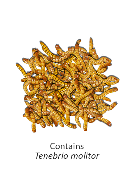 VITAL CHICK GEL - Psittacus