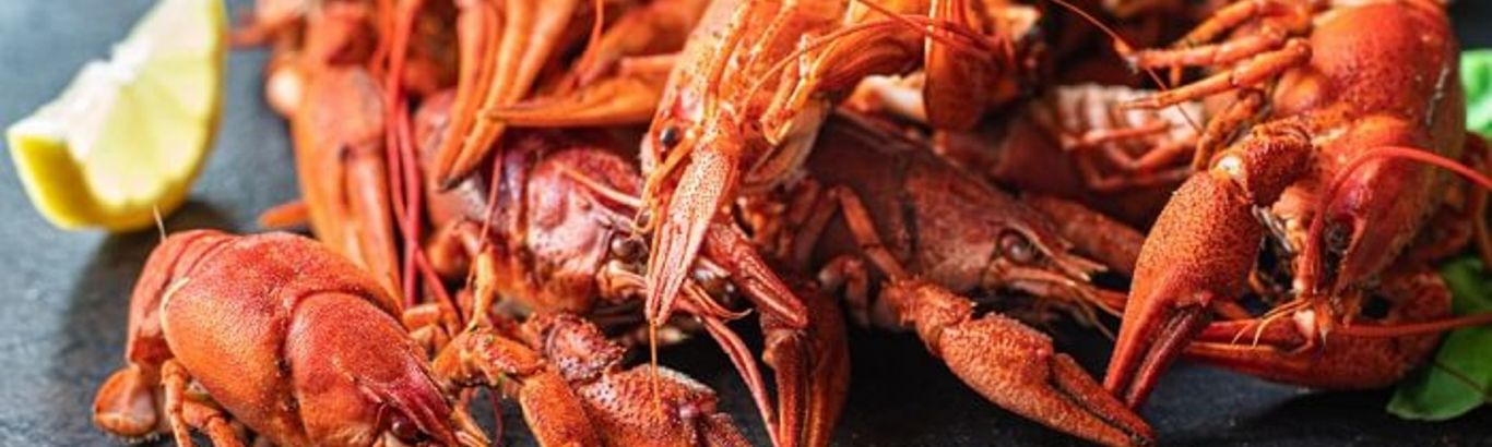 Juicy Crawfish - Stockbridge in GA | Main Menu