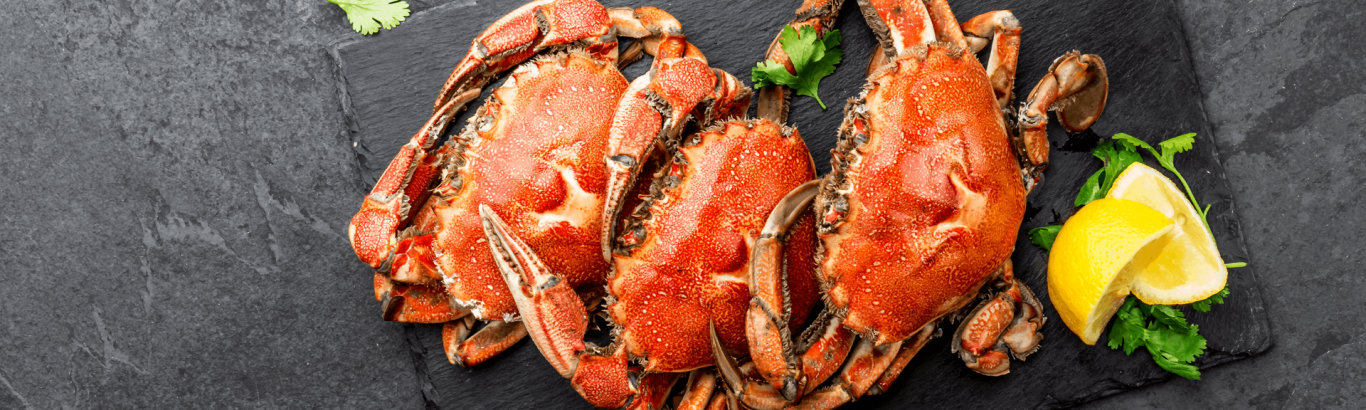 Bob's Crab House in Philadelphia, PA | Online Ordering