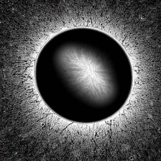 Electron Microscope Proton