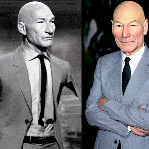 Patrick Stewart Hair