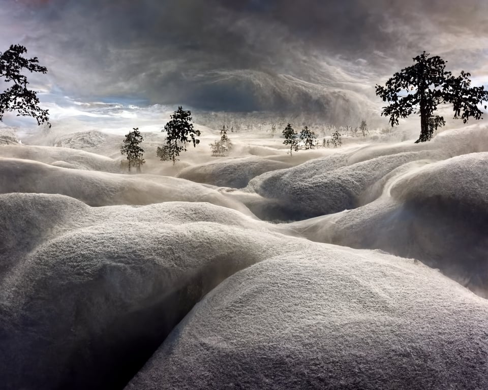 Ansel Adams Color