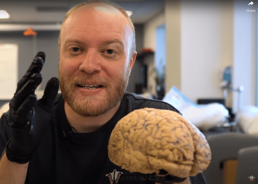 Inside the Brain of a Psychopath * ARDELLES