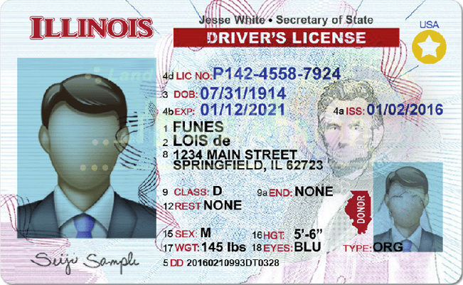 Photoshop Template Auto Shop