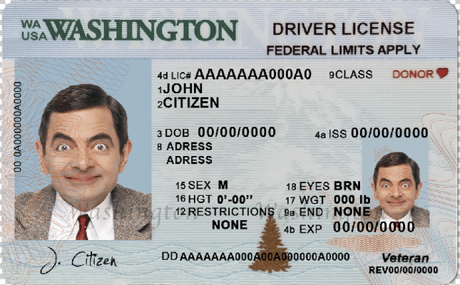 Photoshop Template Auto Shop