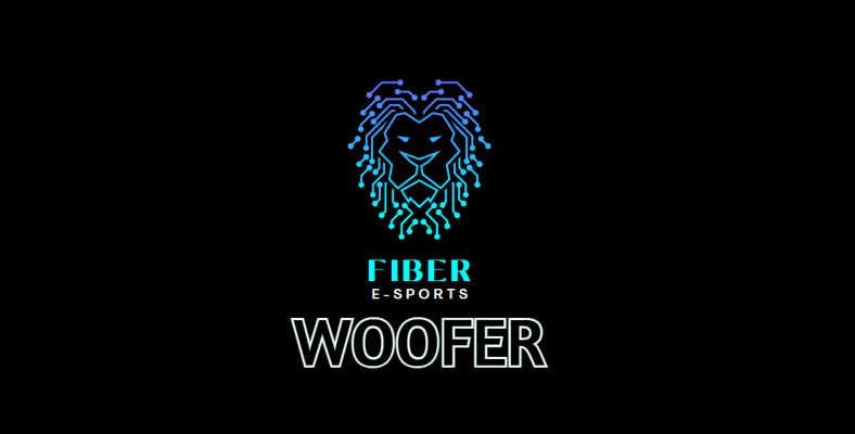FIBER E-SPORTS