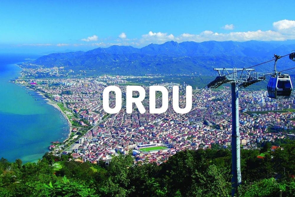 Ordu Fındık Fiyatı | FINDIK TV