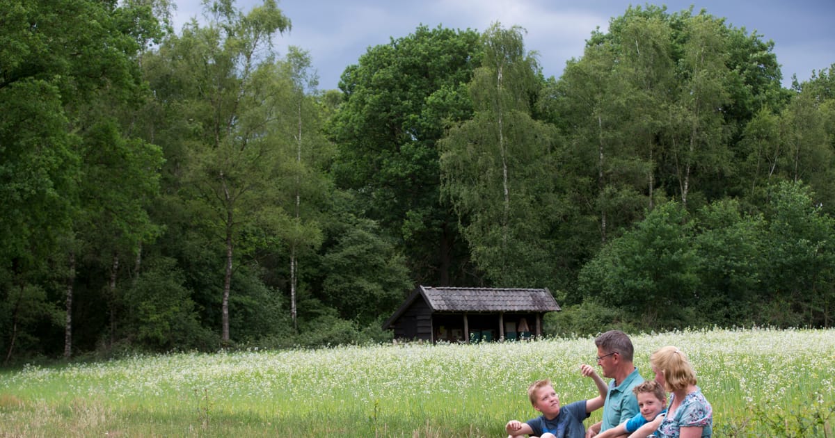 Familieroute De Sprengenberg, Sallandse Heuvelrug | Natuurmonumenten