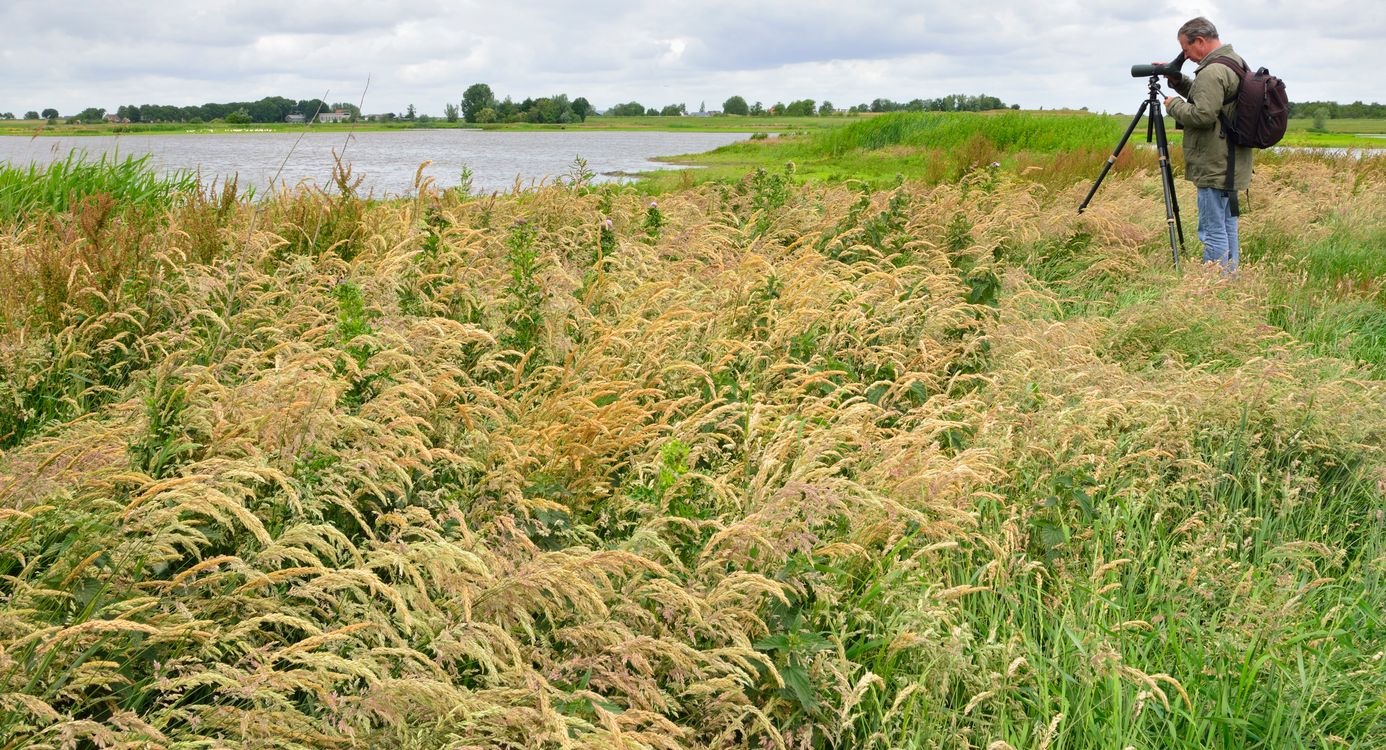 Botshol - Natuurgebied | Natuurmonumenten