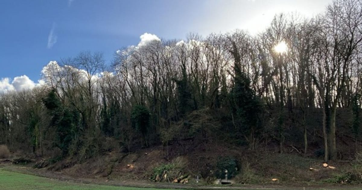 Werken aan de bosrand | Natuurmonumenten