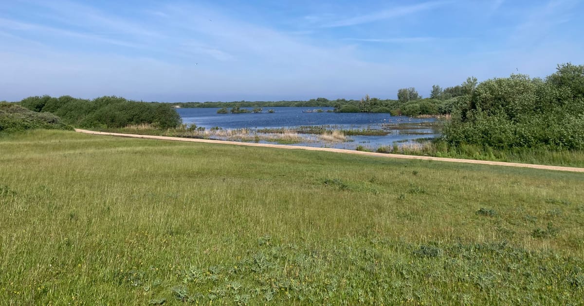 Afronding project Wij&Wadvogels Schiermonnikoog | Natuurmonumenten