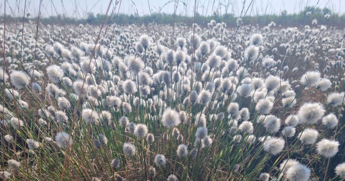 De omweg van ... natuurverhalen langs de route | Natuurmonumenten