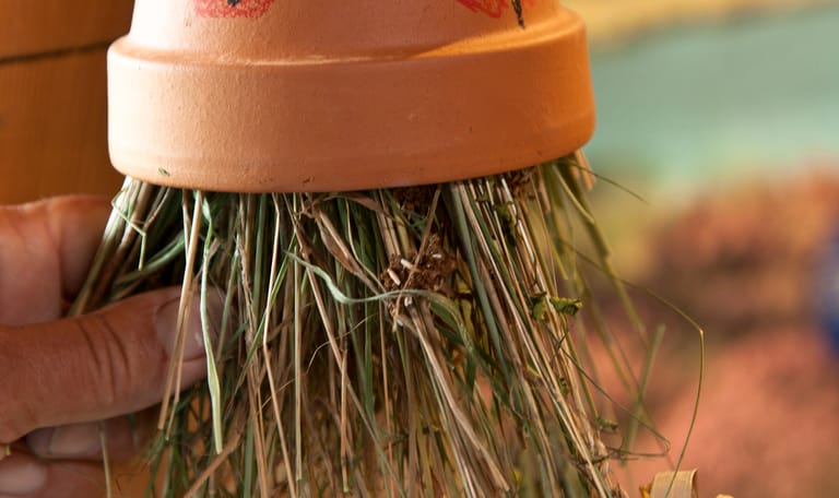Boom stekken doe je zo | Natuurmonumenten