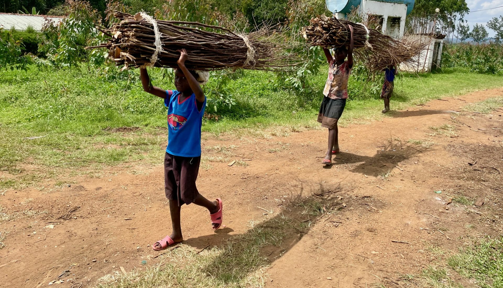 New Nature Foundation – Philadelphia Zoo