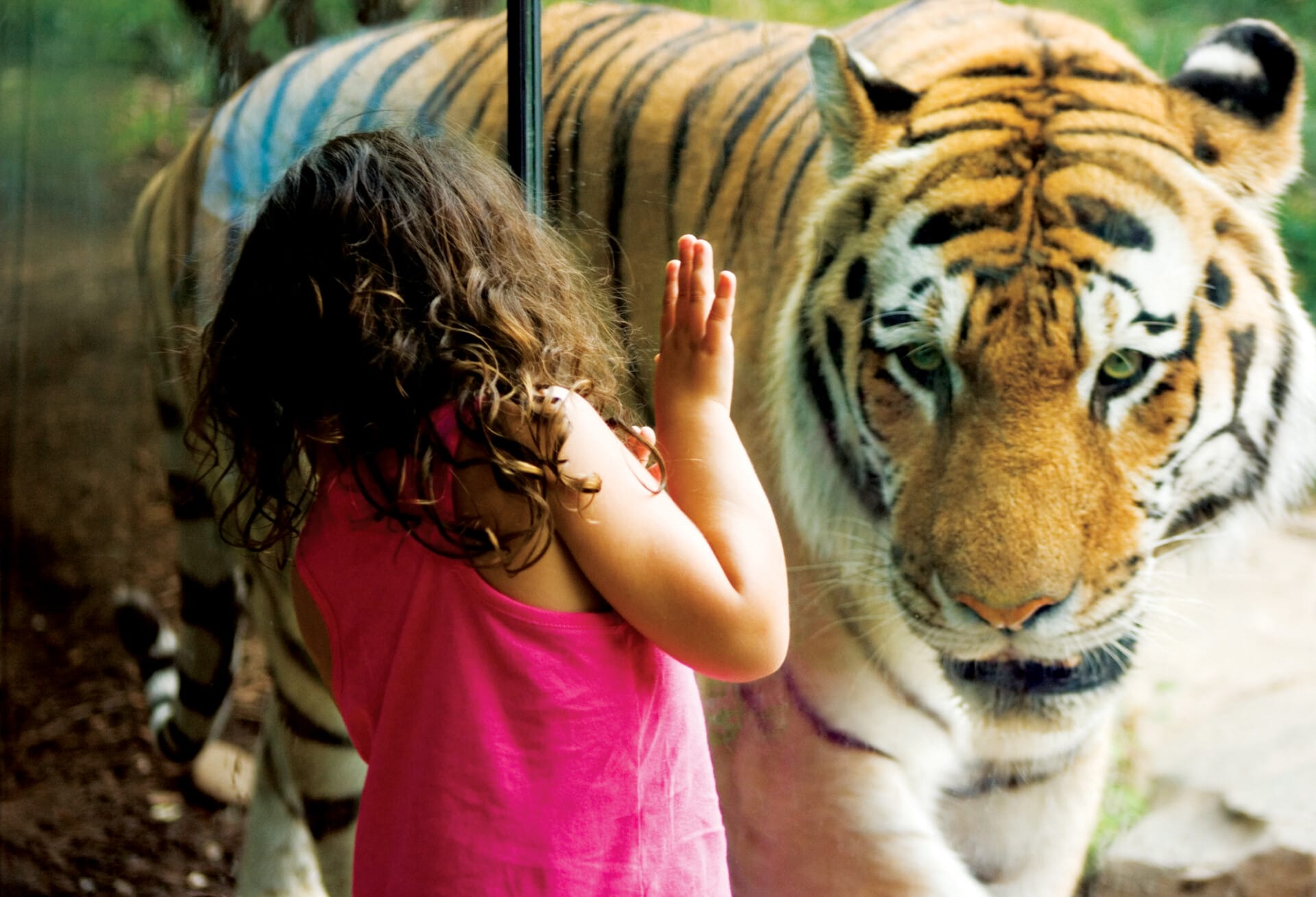 America's First Zoo | History in the Making – Philadelphia Zoo