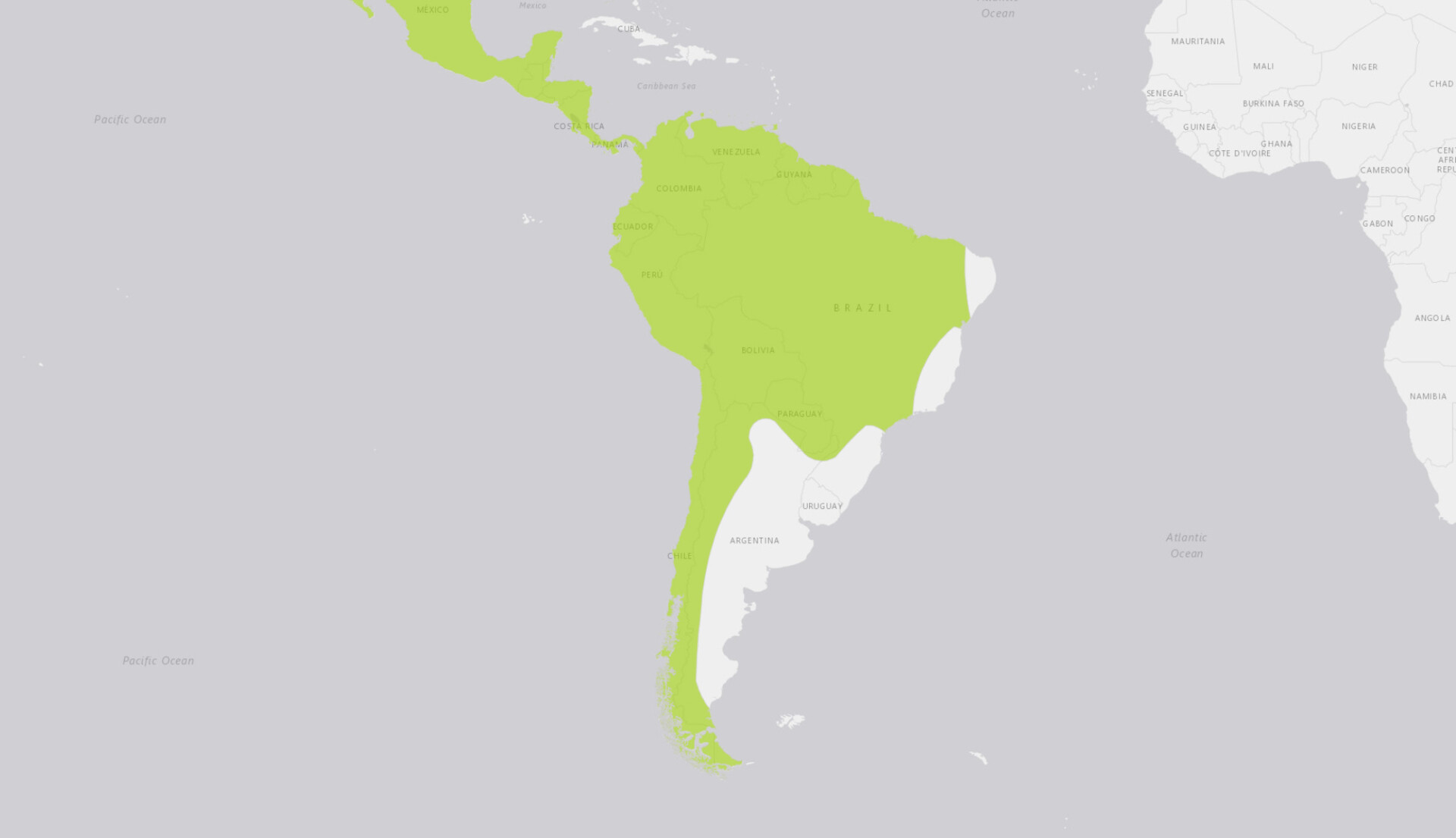 Puma: Habitat, Physical Description, Diet, Conservation – Philadelphia Zoo