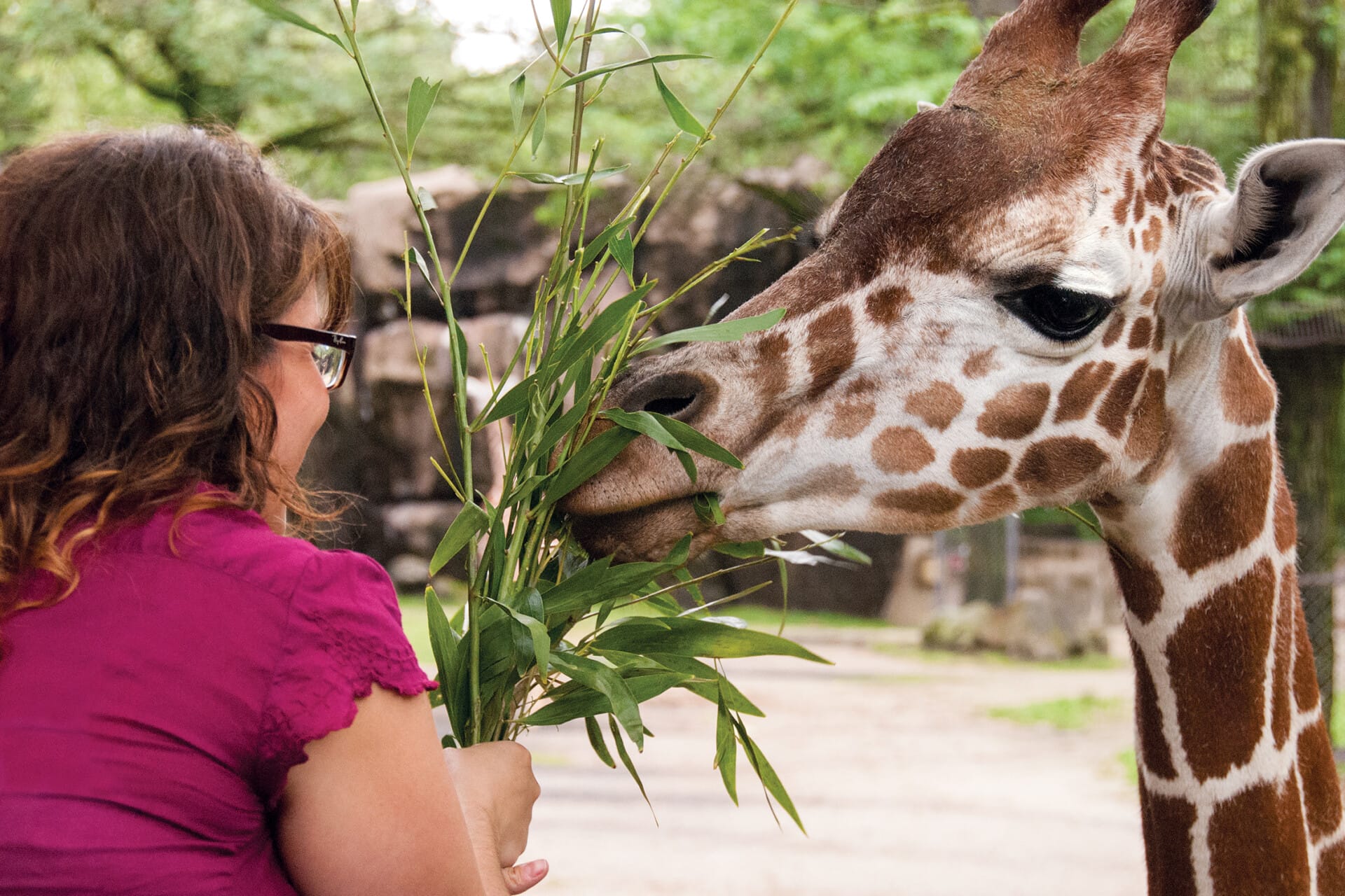 Private Events at the Zoo – Philadelphia Zoo