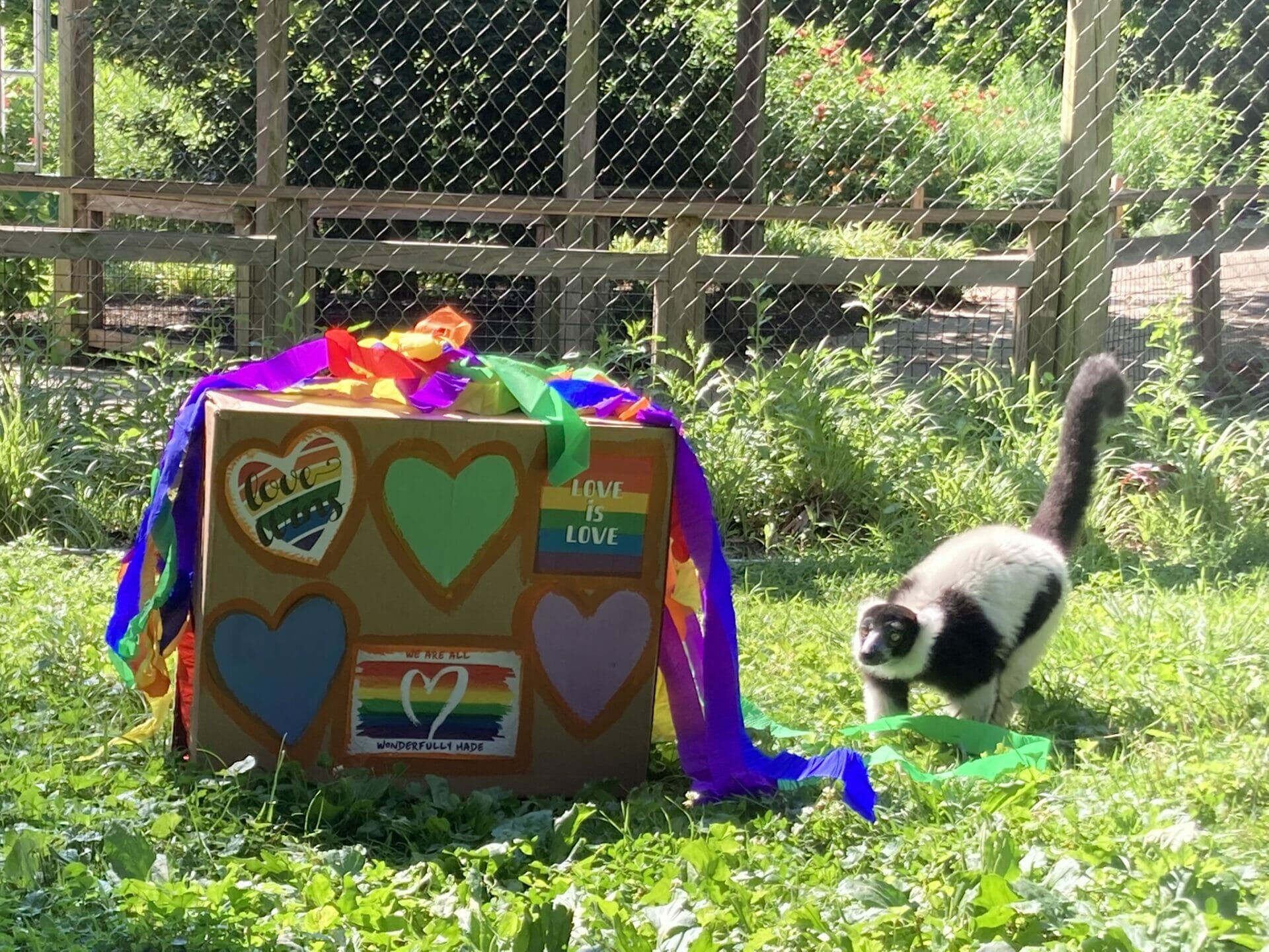 Pride Day – Philadelphia Zoo