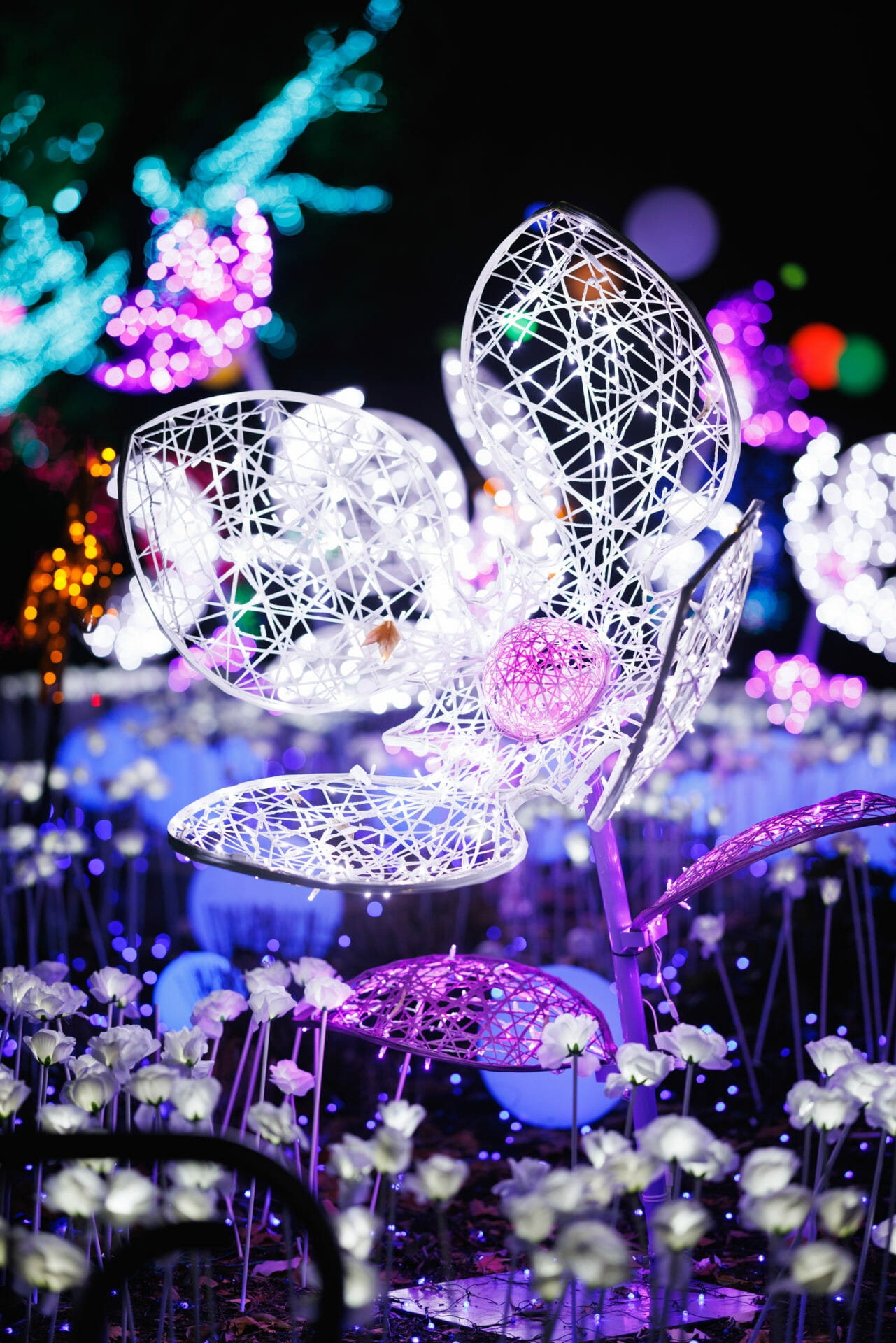 Events at the Zoo | LumiNature – Philadelphia Zoo