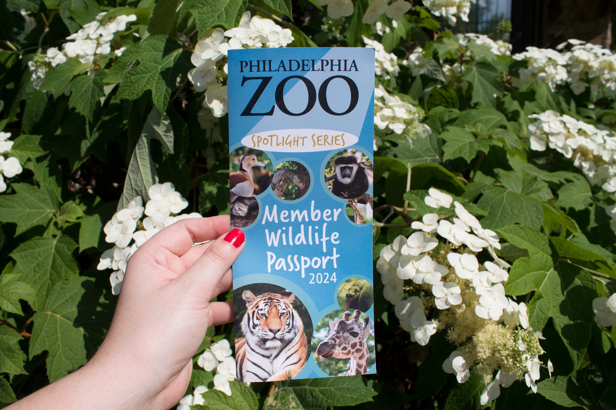 Wildlife Spotlight Series – Philadelphia Zoo
