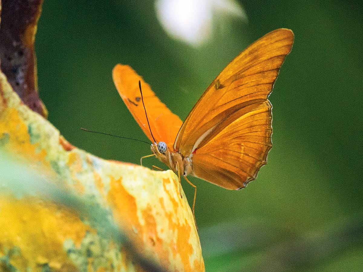 Spring Member Appreciation Weekend – Philadelphia Zoo