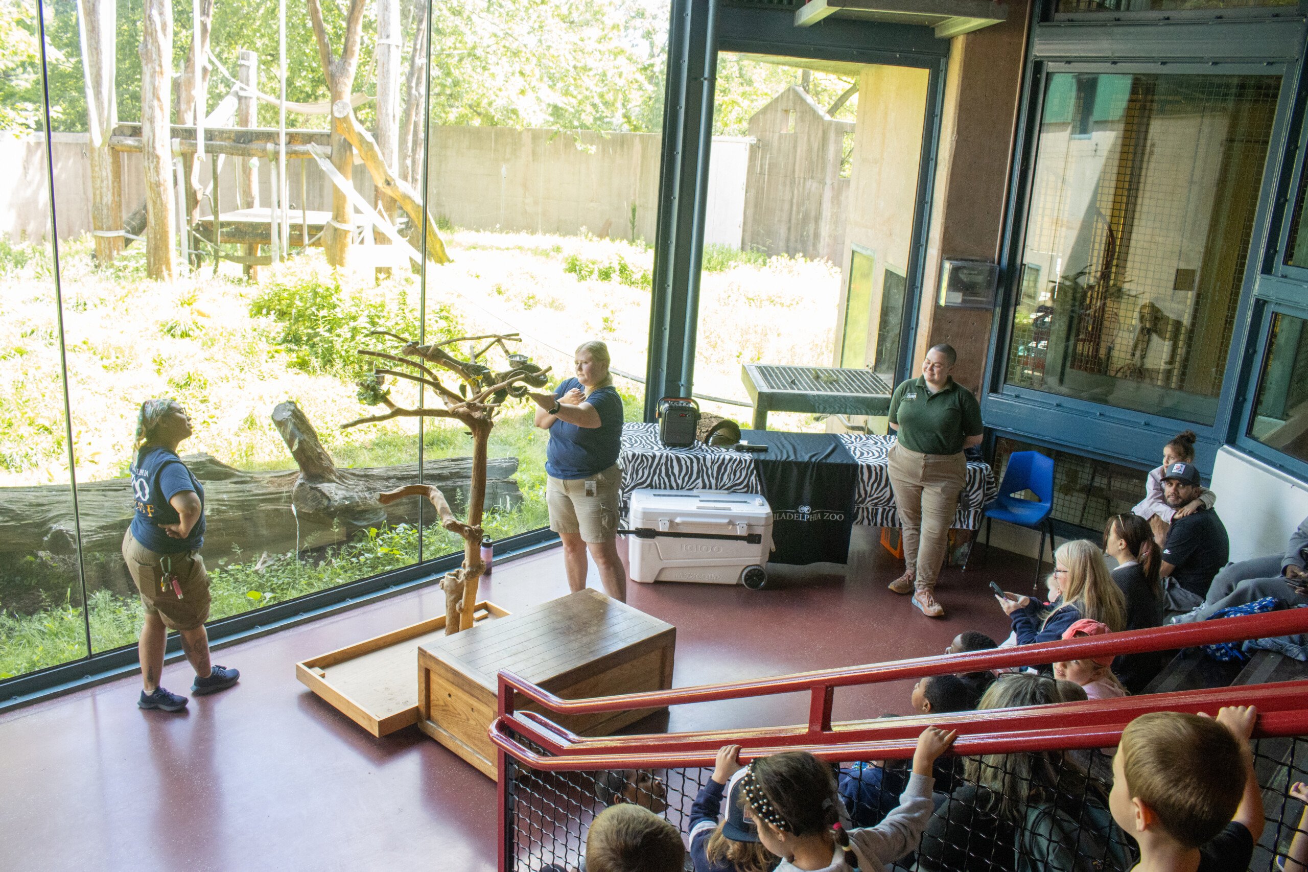 Story Time Tuesdays: Animal Tales – Philadelphia Zoo