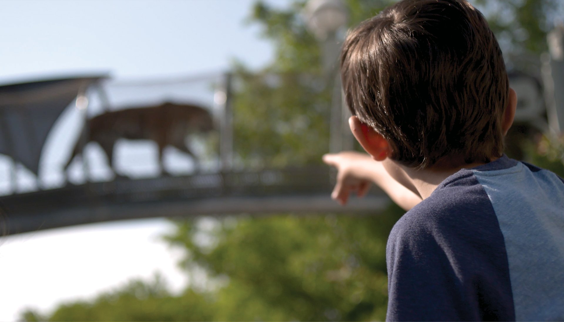 Wake Up With Wildlife Premium Tours – Philadelphia Zoo