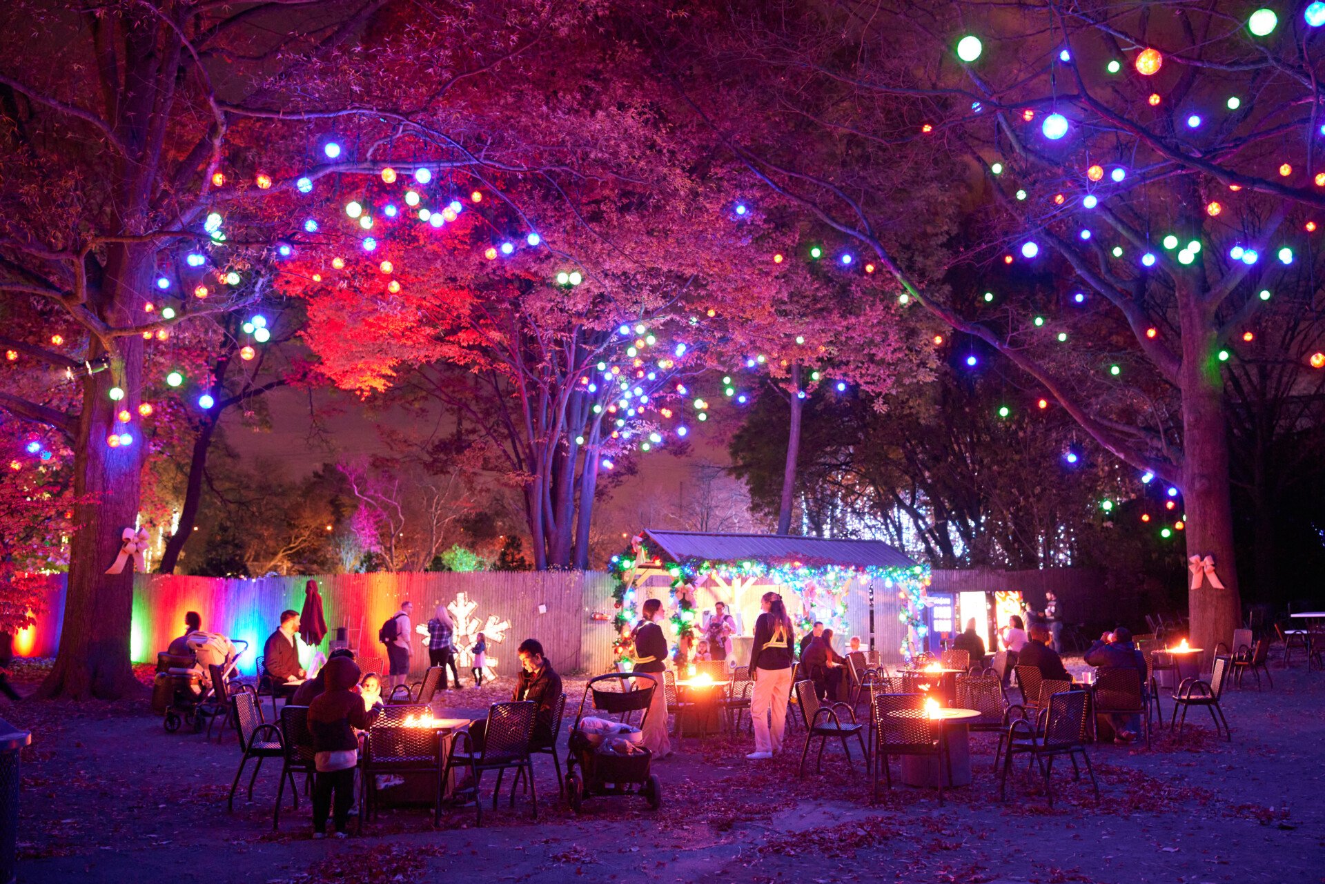 Events at the Zoo | LumiNature – Philadelphia Zoo