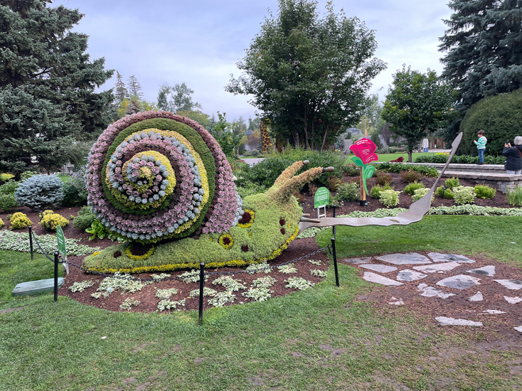 Philadelphia Zoo Announces Birth of Vulnerable Black-and-White Colobus ...