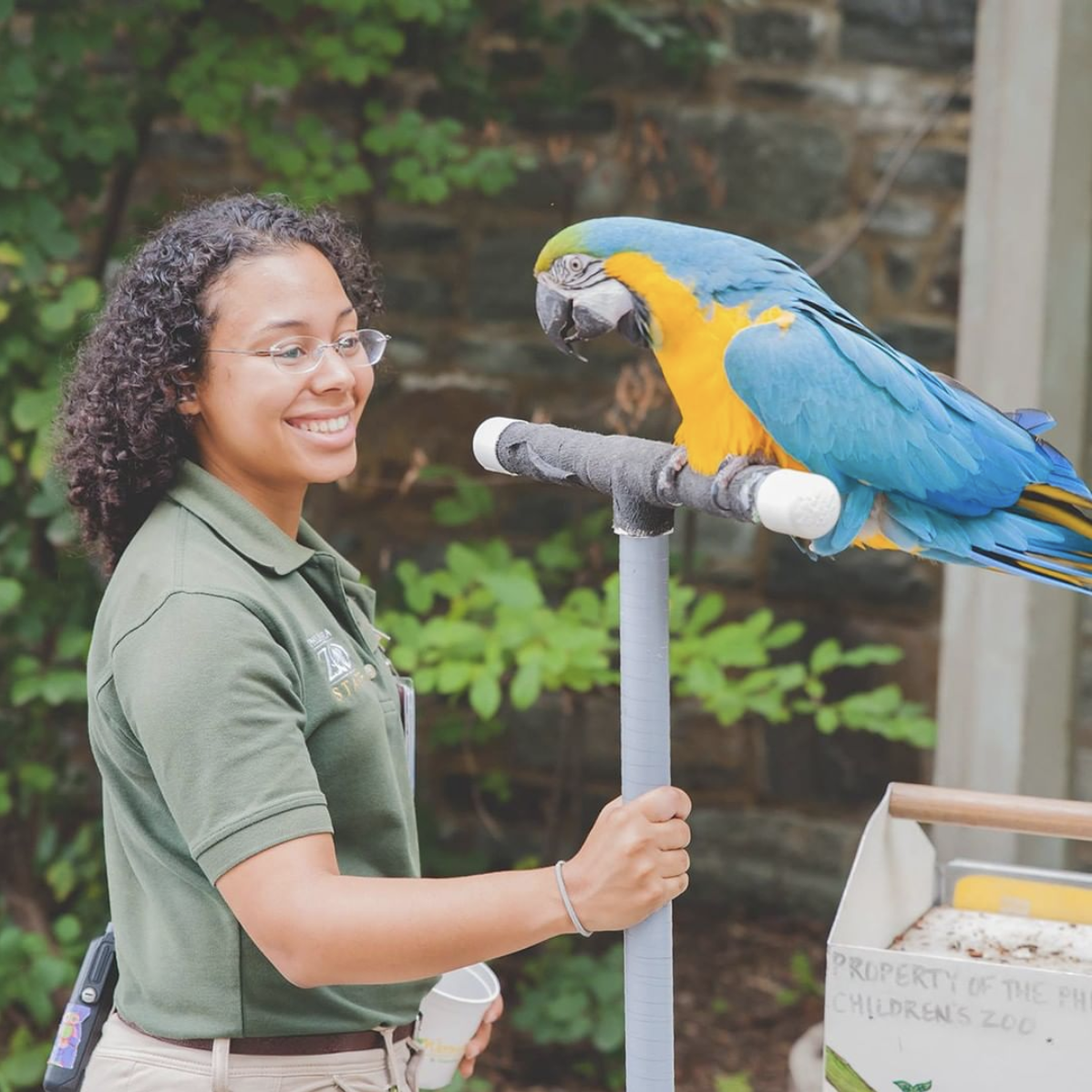 Take a Trip to the Zoo from Home | Virtual Experience – Philadelphia Zoo
